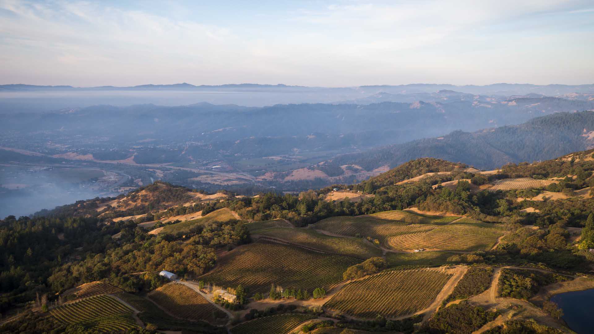 Alexander Valley | Olema Wines